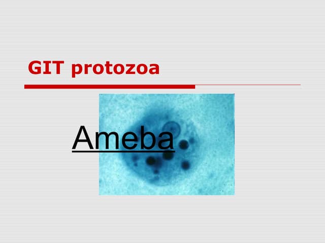 Amoebiasis pathogenesis and pathology | PPTX