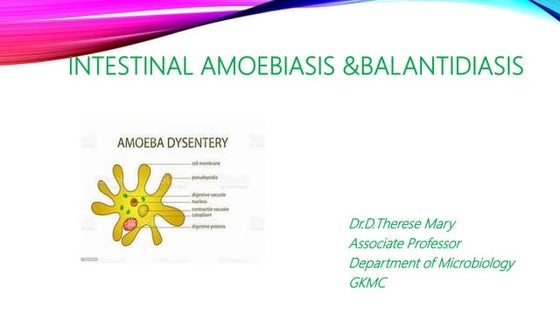 AMOEBIASIS DISEASE | PPT
