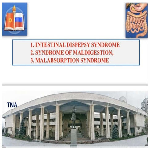Intestinal dyspepsia, malabsorption, maldigestion.pdf