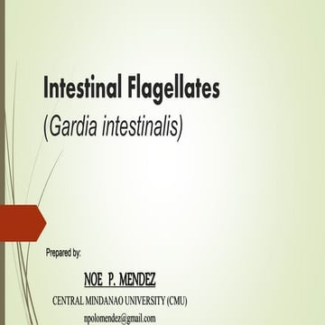 Intestinal flagellates. j.h.c | PPT