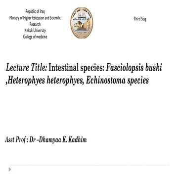 parasitology lec - FLUKES | PPT