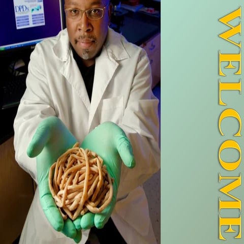 Intestinal helminths | PPT