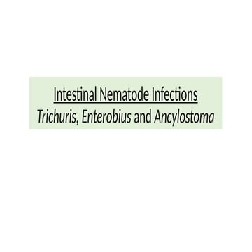 Intestinal Nematodes | PPTX