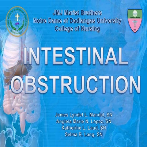 Intestinal Obstruction Powerpoint Presentation | PPTX