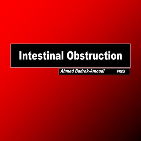 RADIOLOGIC ANATOMY OF SMALL INTESTINE AND INTRODUCTION TO SMALL BOWEL ...