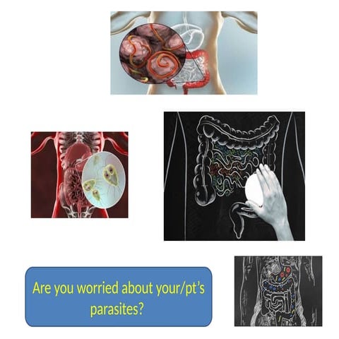 INTESTINAL PARASITES- Trematodes, Cestodes, and Nematodes, | PPTX