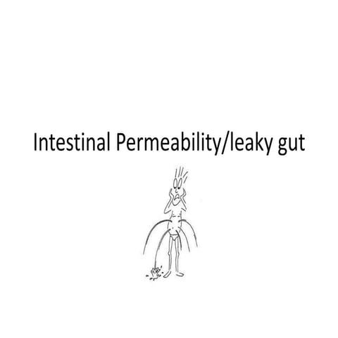 Intestinal permeability ppp i | PPTX