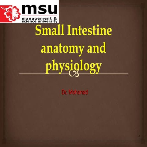 Intestinal anatomy and physiology | PPT