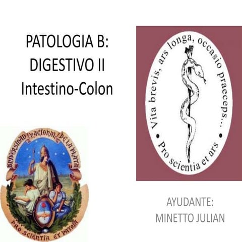 Intestino y colon tp digestivo ii | PPTX