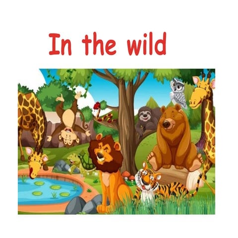 in the wild .pptx