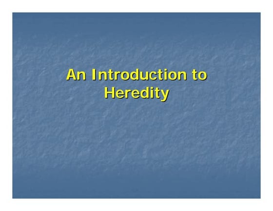 Finding the Main Idea and Supporting Details Lesson Plan | PDF