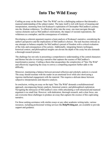 Into The Wild Essays.pdf