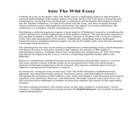 Into The Wild Essay | PDF