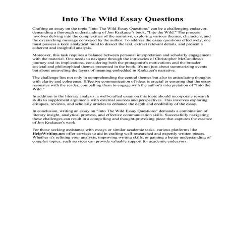 Into The Wild Essay Questions | PDF