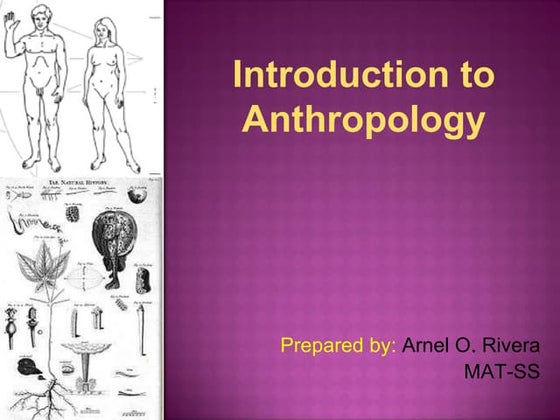 Chapter 1: Introduction to Anthropology | DOCX