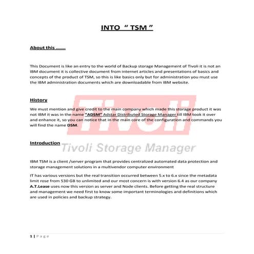 Into TSM | PDF