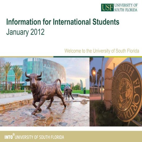Into usf 2012 13 - short | PPTX | Undergraduate Education | College ...