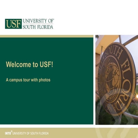 INTO USF photo slideshow (Sept 2010) | PPT | College Education | Education