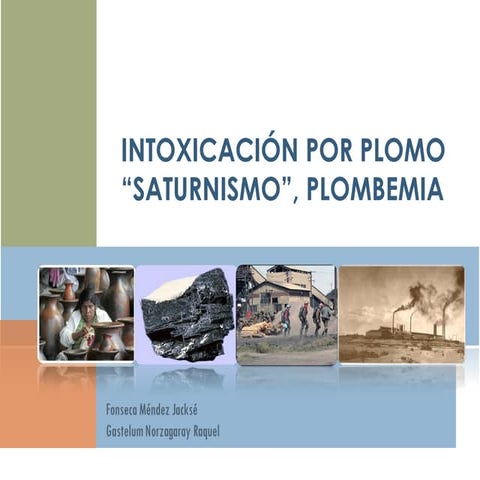 Intoxicación por plomo | PPTX