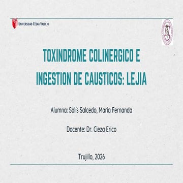 Tipos de facies | PPTX