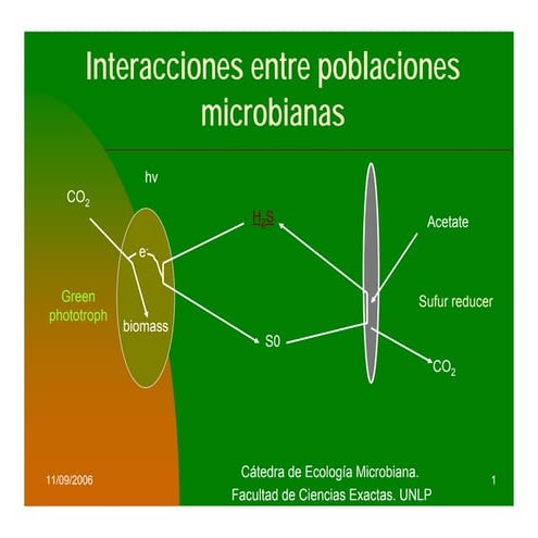 Interacciones en los ecosistemas. | PPT