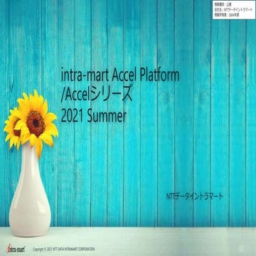 Accel series 2021 Summer | PPTX