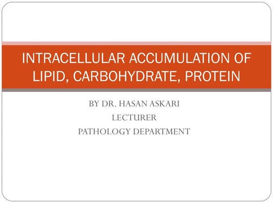 Scalp and face anatomy-Dr. Adel Bondok.pdf