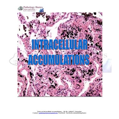 Intracellular accumulations | PDF