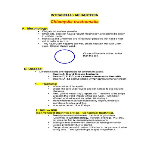 Intracellular bacteria chlamydia & rickettsia | PDF