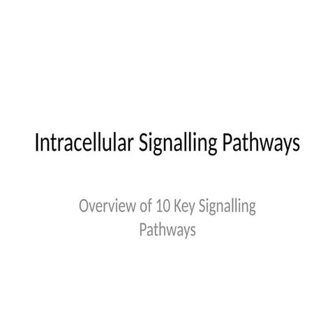 Intracellular_Signalling_Pathways. .pptx
