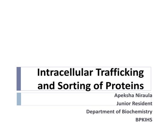 Protein targeting or translocation of proteins | PPTX