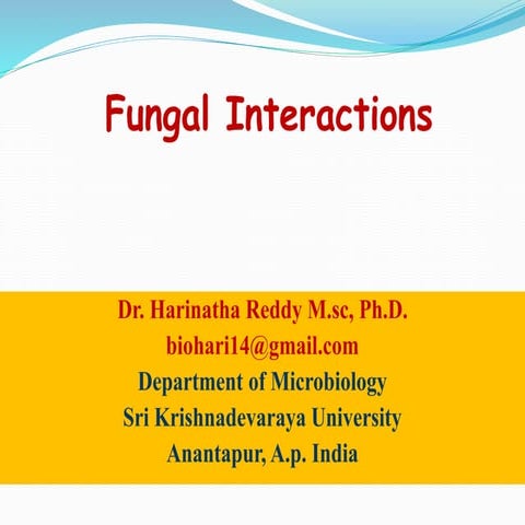 Interactions of fungi | PPTX