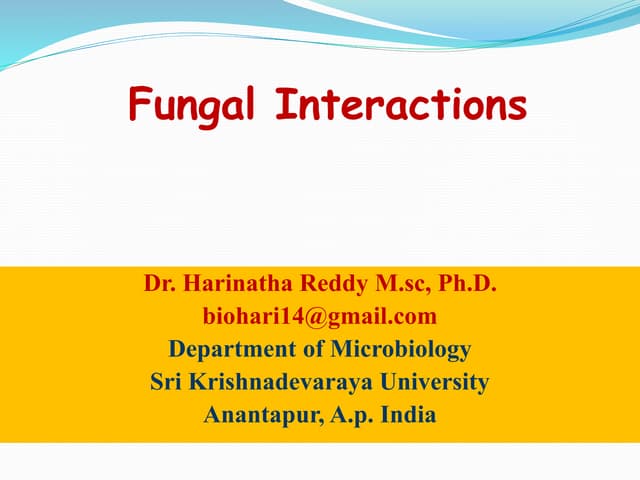 Ecology Of Fungi | PPT