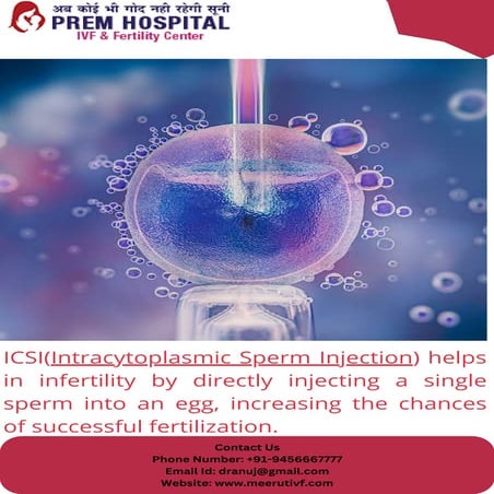 Intracytoplasmic Sperm Injection | PDF
