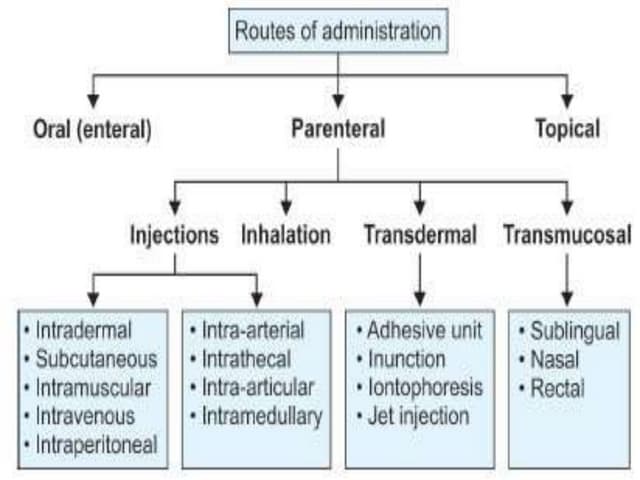 Intradermal injection- Introduction, procedure,complications | PPTX