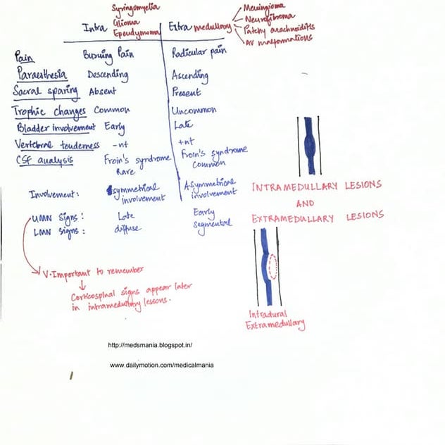 RCPCH development.pdf