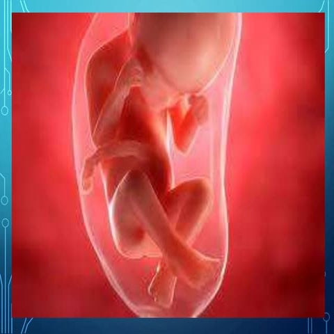 INTRAPARTUM FETAL WELLBEING [Autosaved].pptx