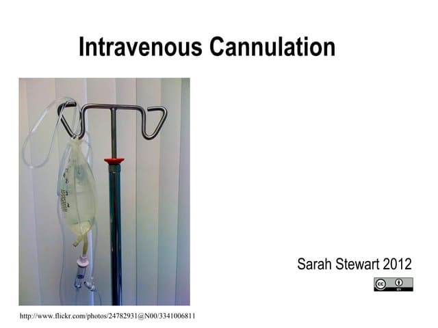 Iv cannulation sites | PDF