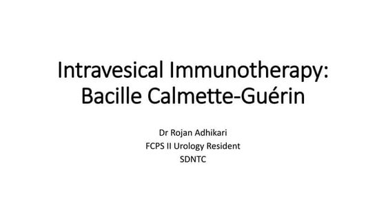 Ureteroscopic lithotripsy (URSL) | PPT