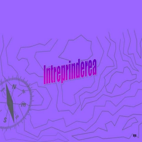 Intreprinderea | PPT