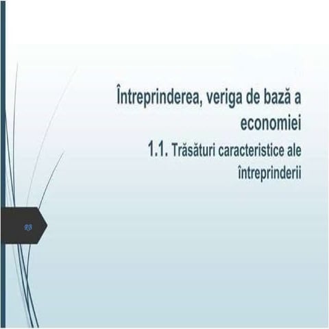 Intreprinderea - veriga de baza a economiei | PPTX