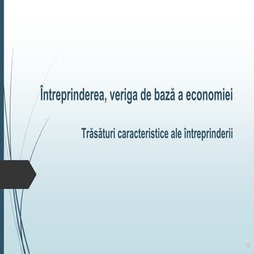 Intreprinderea - veriga de baza a economiei - clasificare | PPTX