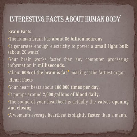 intresting facts about human body.pptx facts | PPTX