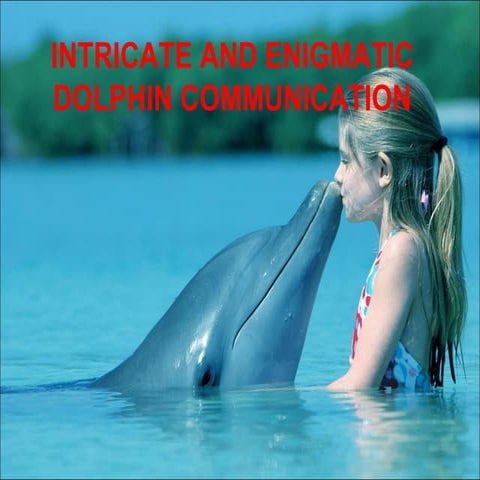 Intricate and enigmatic dolphin communication | PPT
