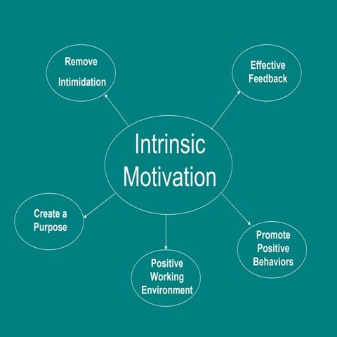 Intrinsic motivation | PPT | Business | Business and Finance