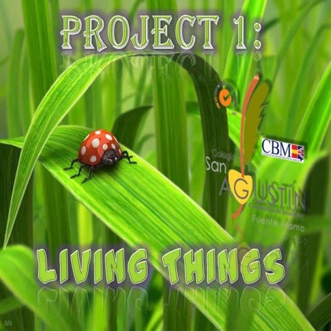 Project 1 Living Things | PPTX