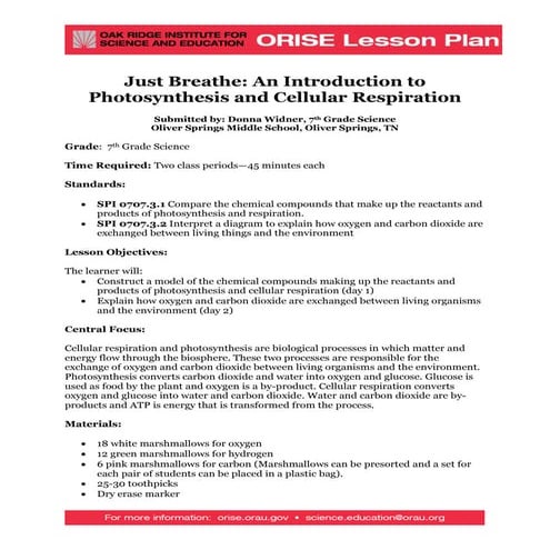 intro-to-photosynthesis.pdf