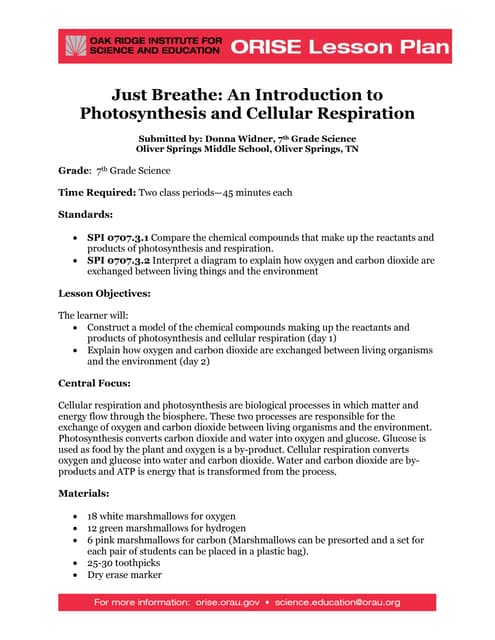 GCSE Biology Photosynthesis | PPT