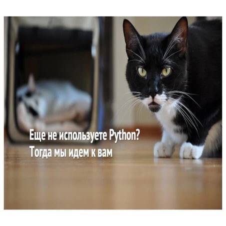 Еще не используете Python Тогда мы идем к вам Pdf Programming Languages Computing