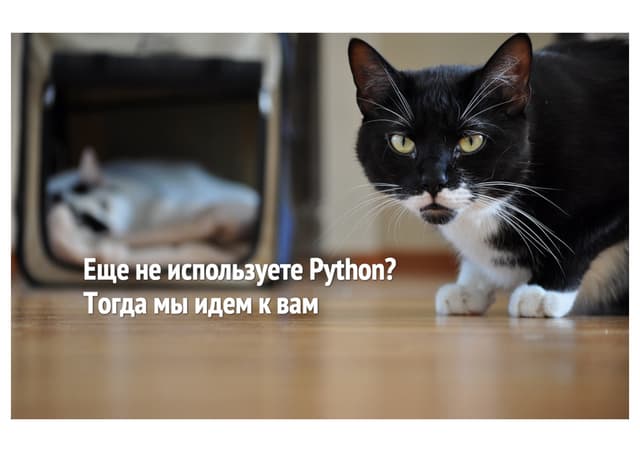 Еще не используете Python Тогда мы идем к вам Pdf Programming Languages Computing